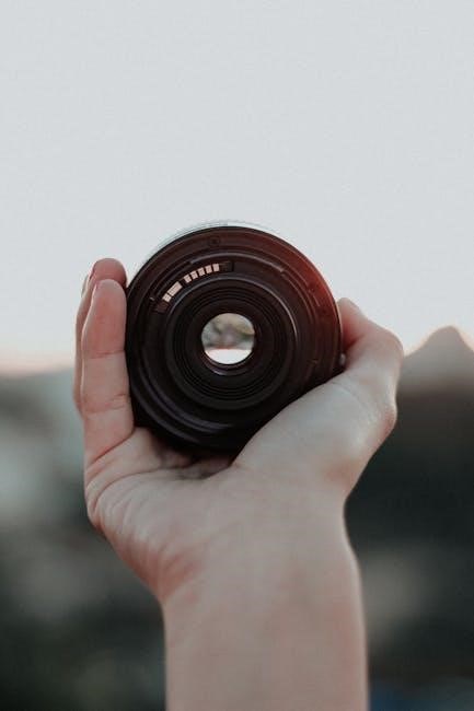 LaView Light Bulb Camera Manual - Complete Setup Guide